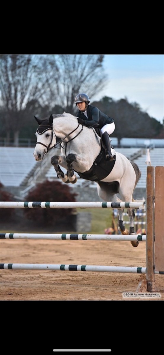 The Stig – SOLD! | Pleasant Brook Farm